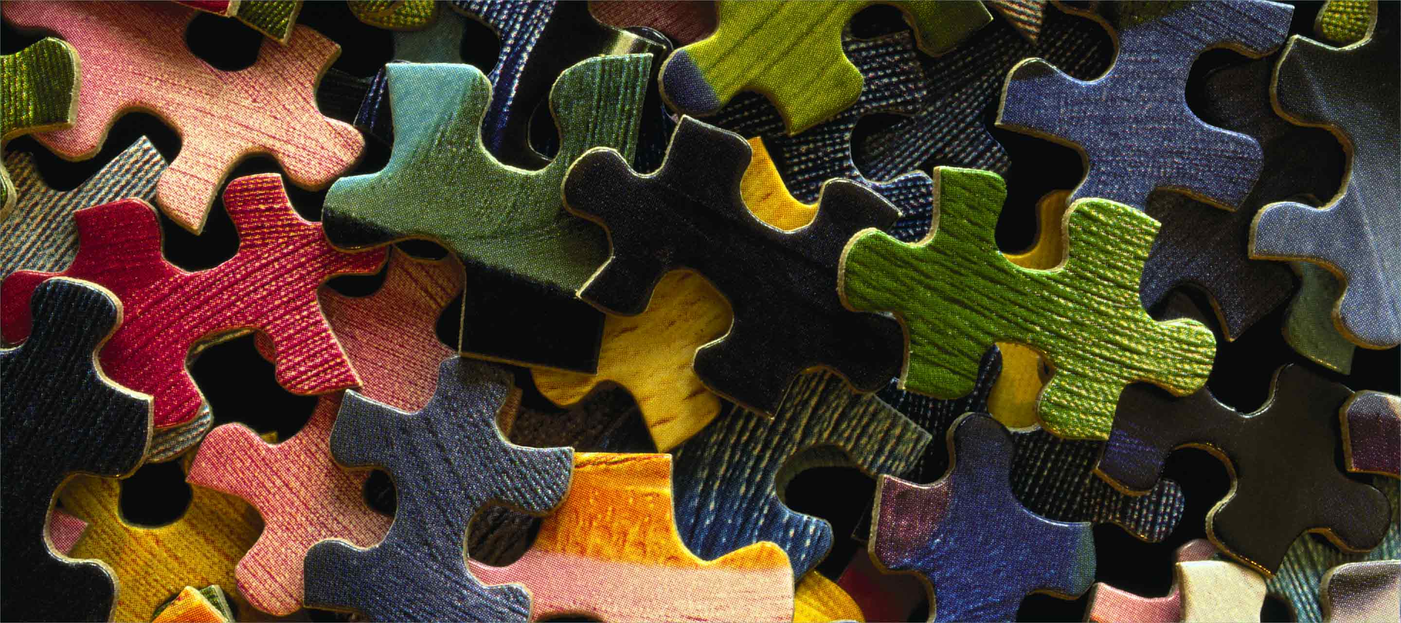 The Healthcare Puzzle